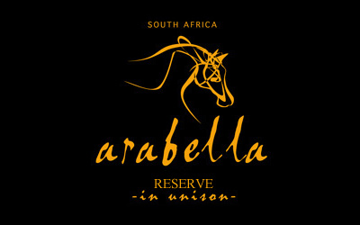 Arabella Reserve In Unison 2007 | Naked Wines