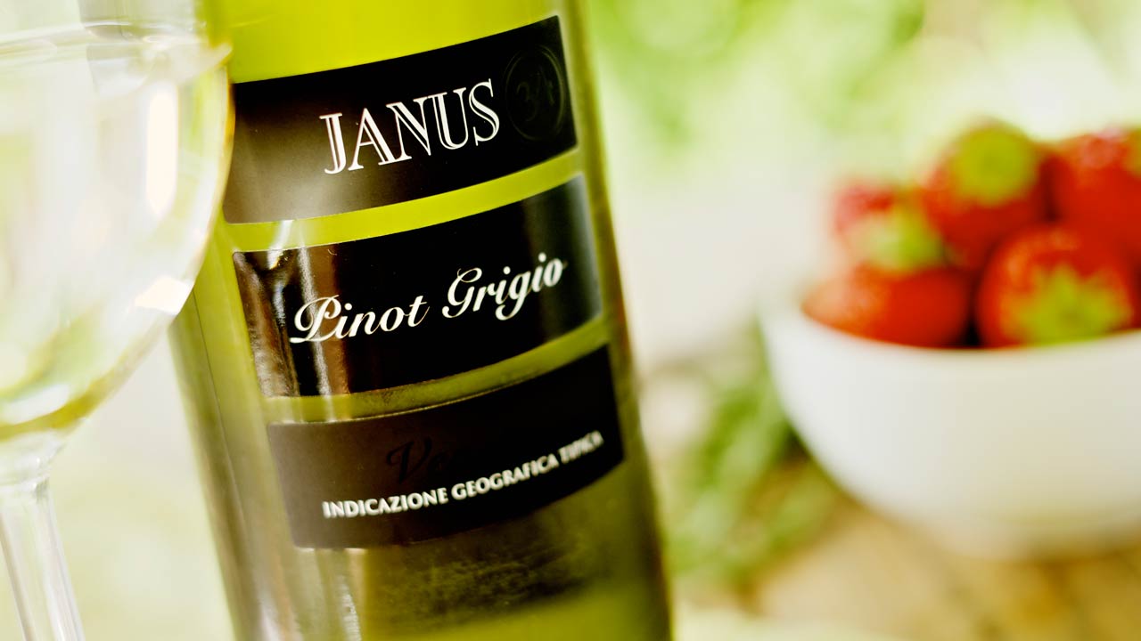 Sacchetto Janus Pinot Grigio 2020 | Naked Wines